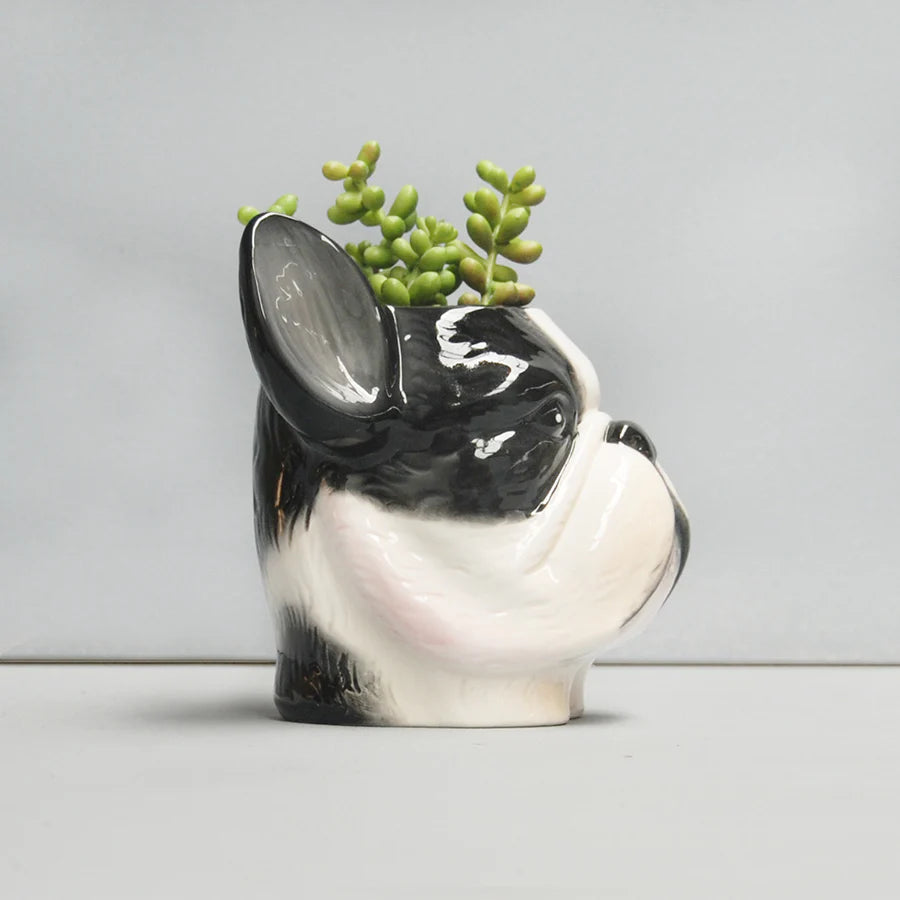 Frenchie Ceramic Planter – By a Farmer's Daughter