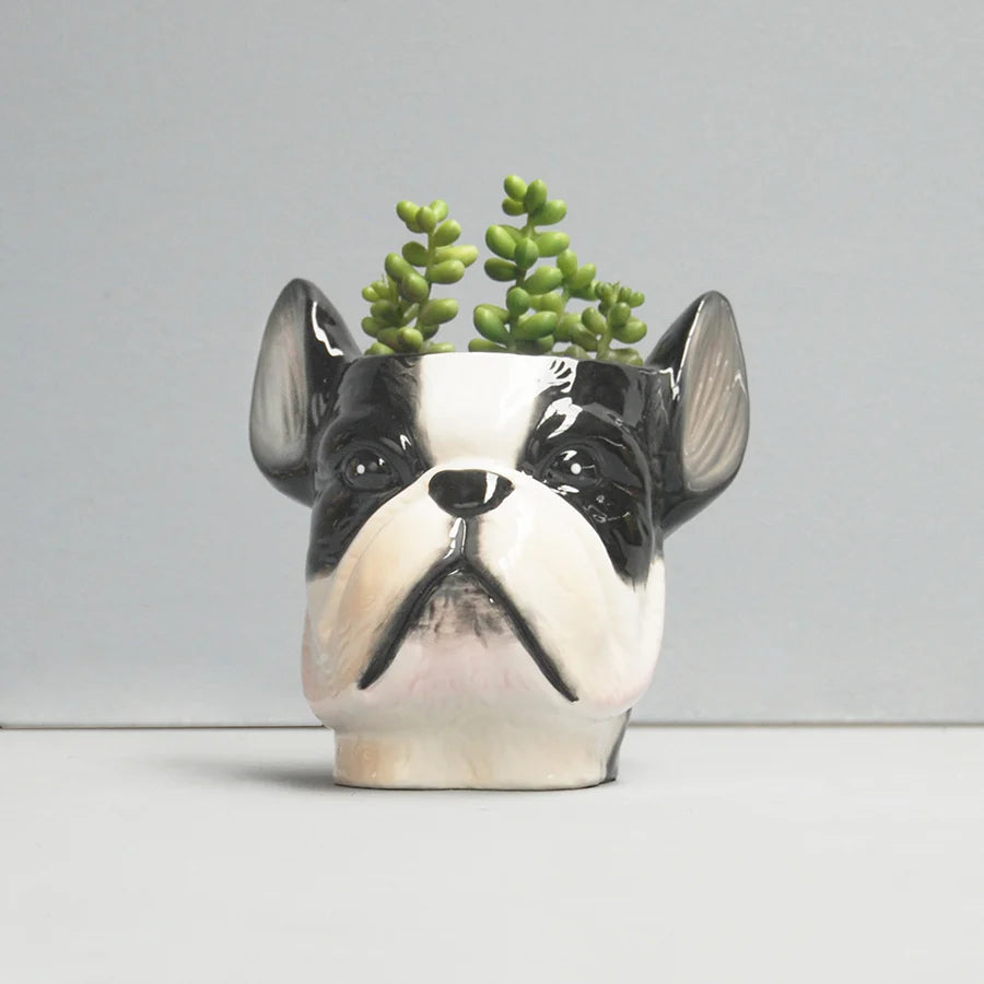 Frenchie Ceramic Planter – By a Farmer's Daughter