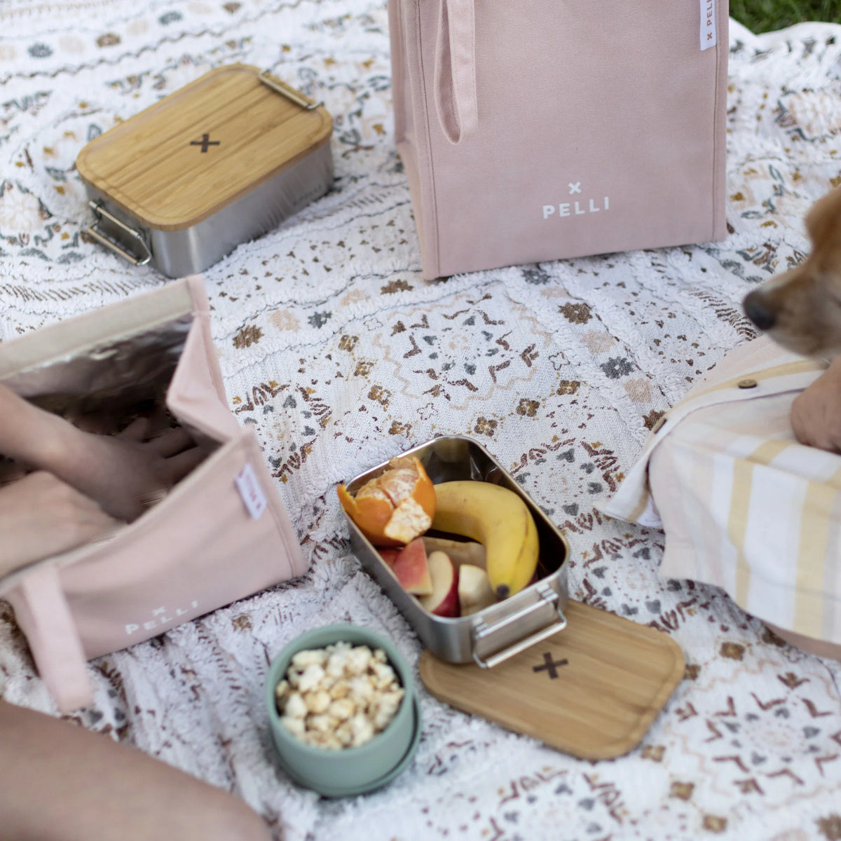 Mini Bento Children's Bamboo and Stainless Steel Bento Box – By a ...